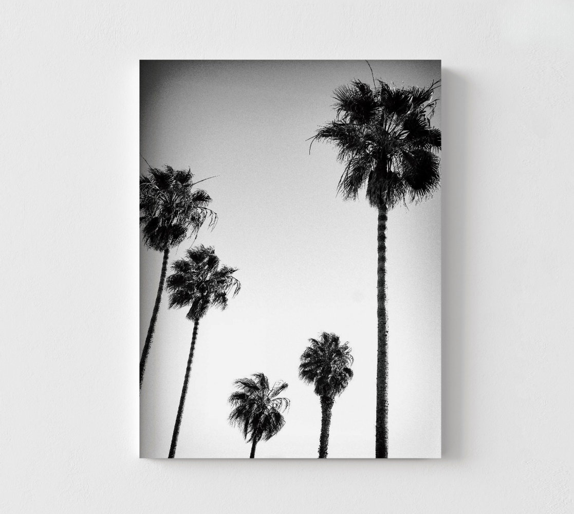 WeFrameArt Surfer Brother New Apartment Living Room Decor, Coastal Air ...