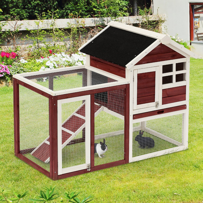 Tucker Murphy Pet™ Aayush Weather Resistant Rabbit Hutch & Reviews ...