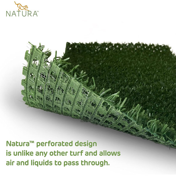 Arlmont & Co. Outdoor Artificial Grass for Dogs, Turf Grass Patch ...