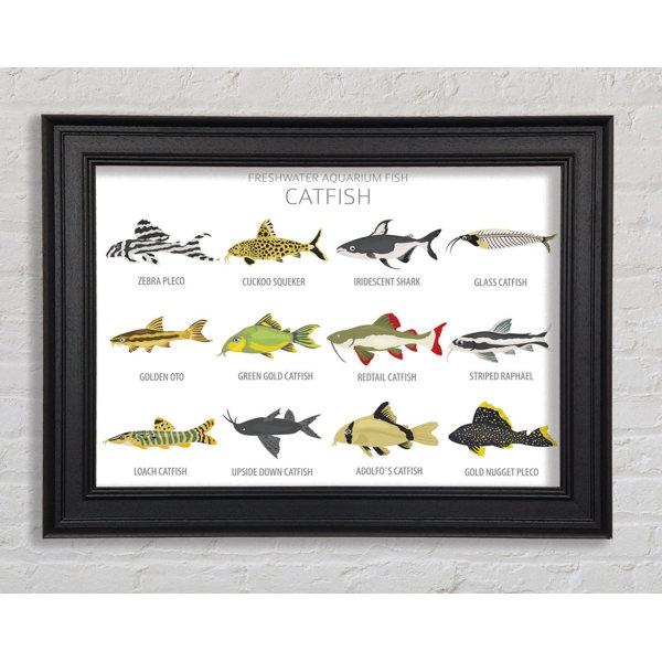 Union Rustic Catfish Chart - Single Picture Frame Print | Wayfair.co.uk
