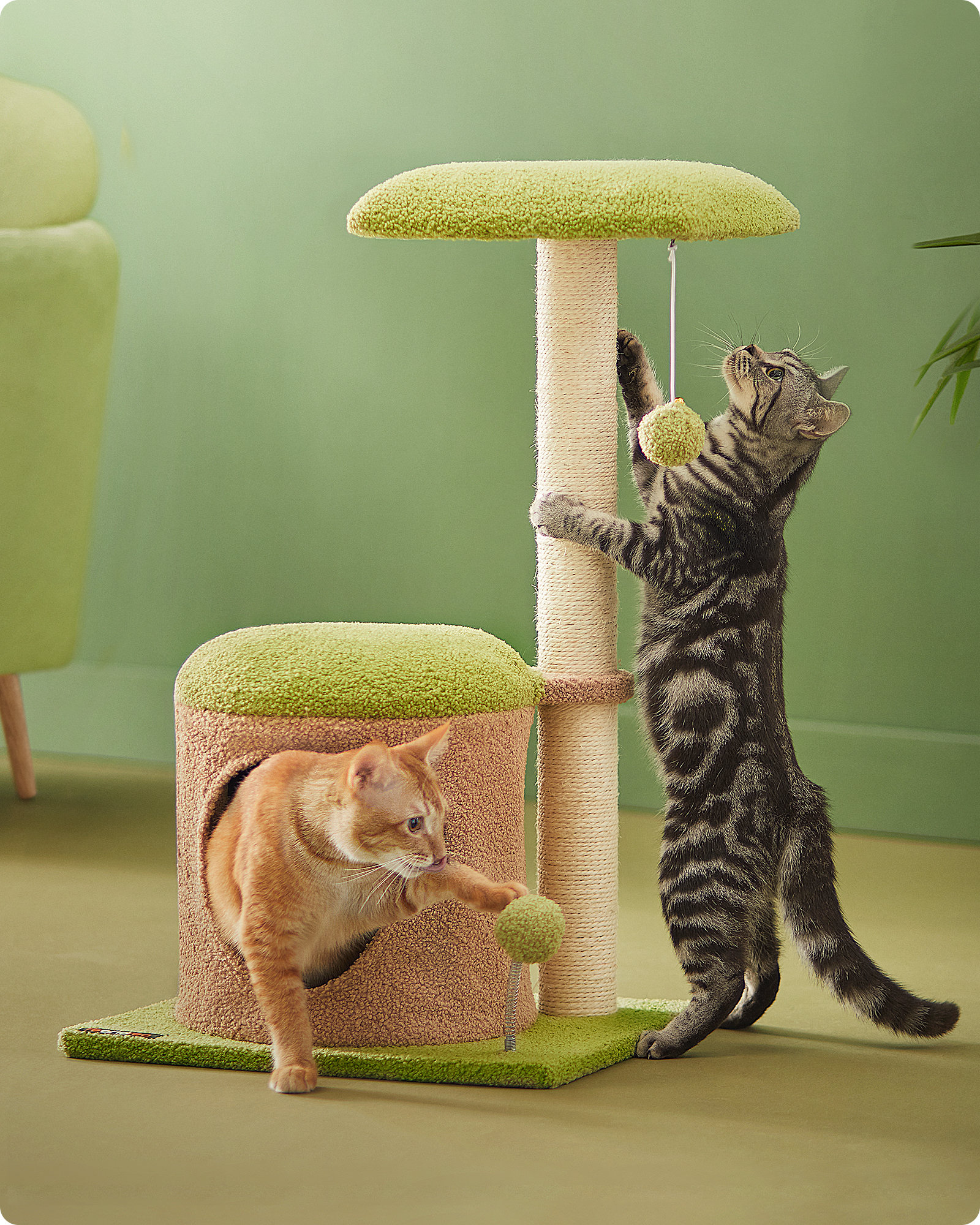 Tucker Murphy Pet™ 30" Cordez Cat Perch - Wayfair Canada