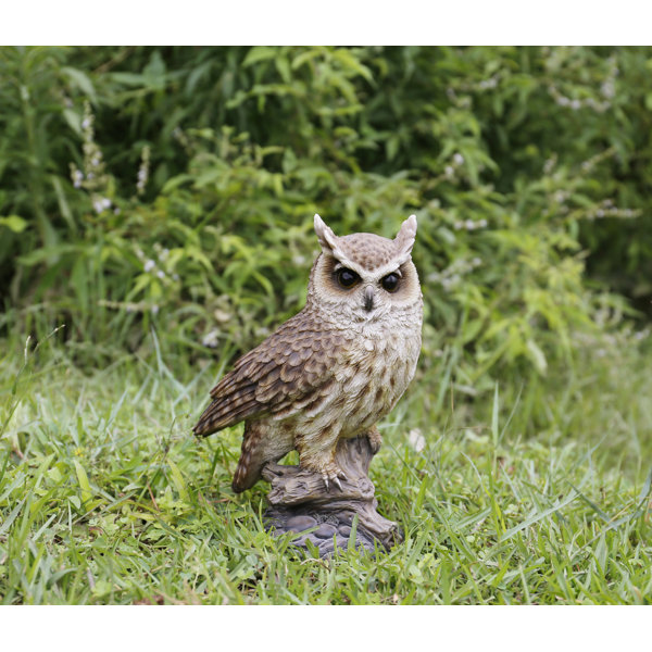 Hi-Line Gift Ltd. Long Eared Owl on Stump Statue & Reviews | Wayfair
