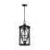 Charlton Home® Olaughlin 3 - Light Outdoor Hanging Lantern | Wayfair