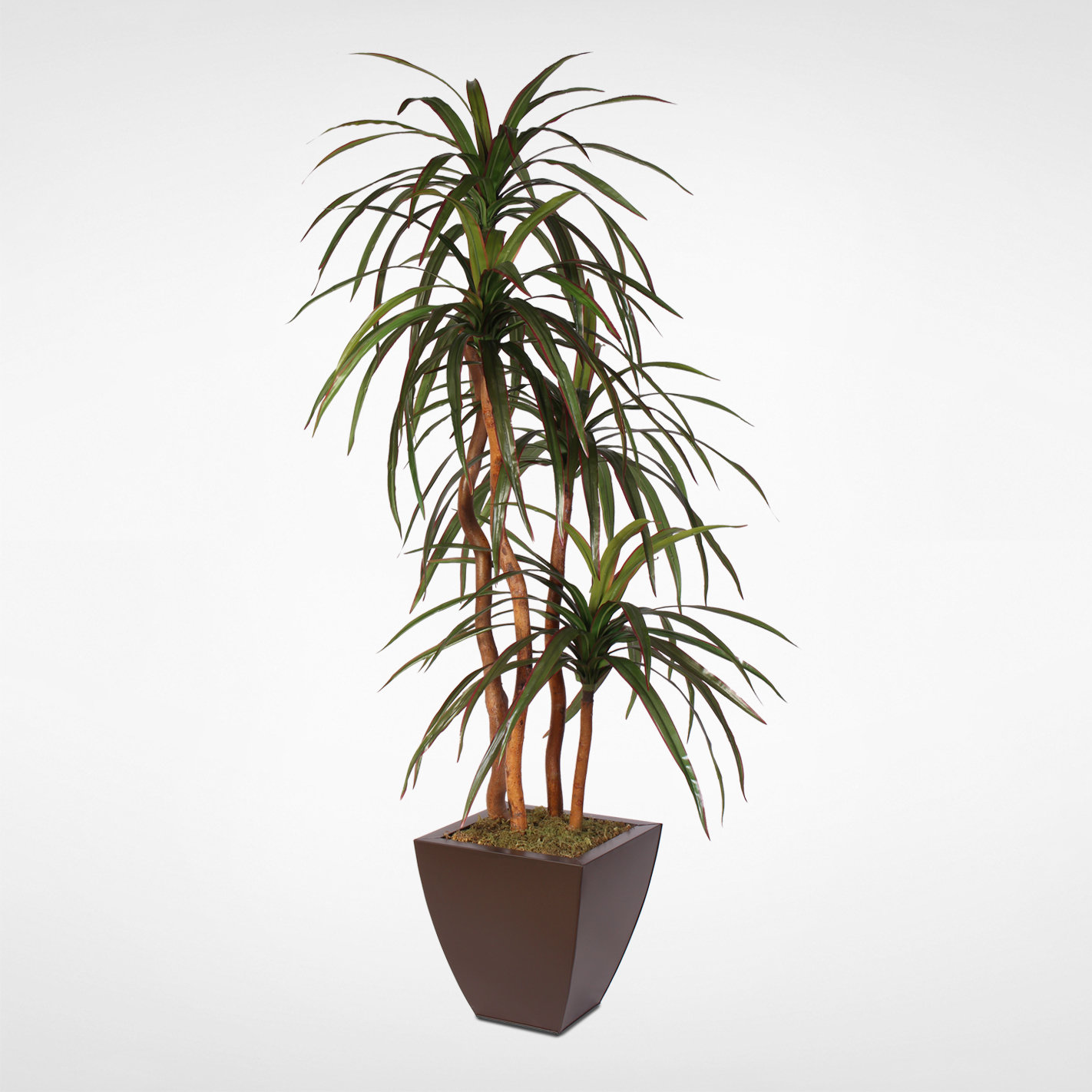 Jenny Silks Silk Floor Yucca Tree in Pot & Reviews | Perigold