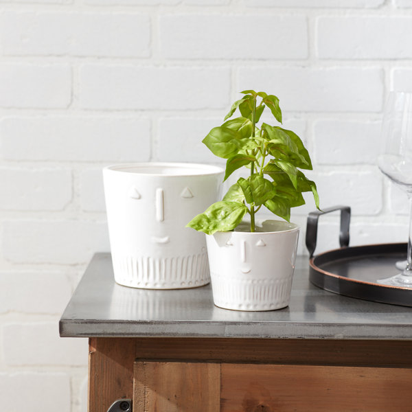 Latitude Run® Pot Planter - Wayfair Canada