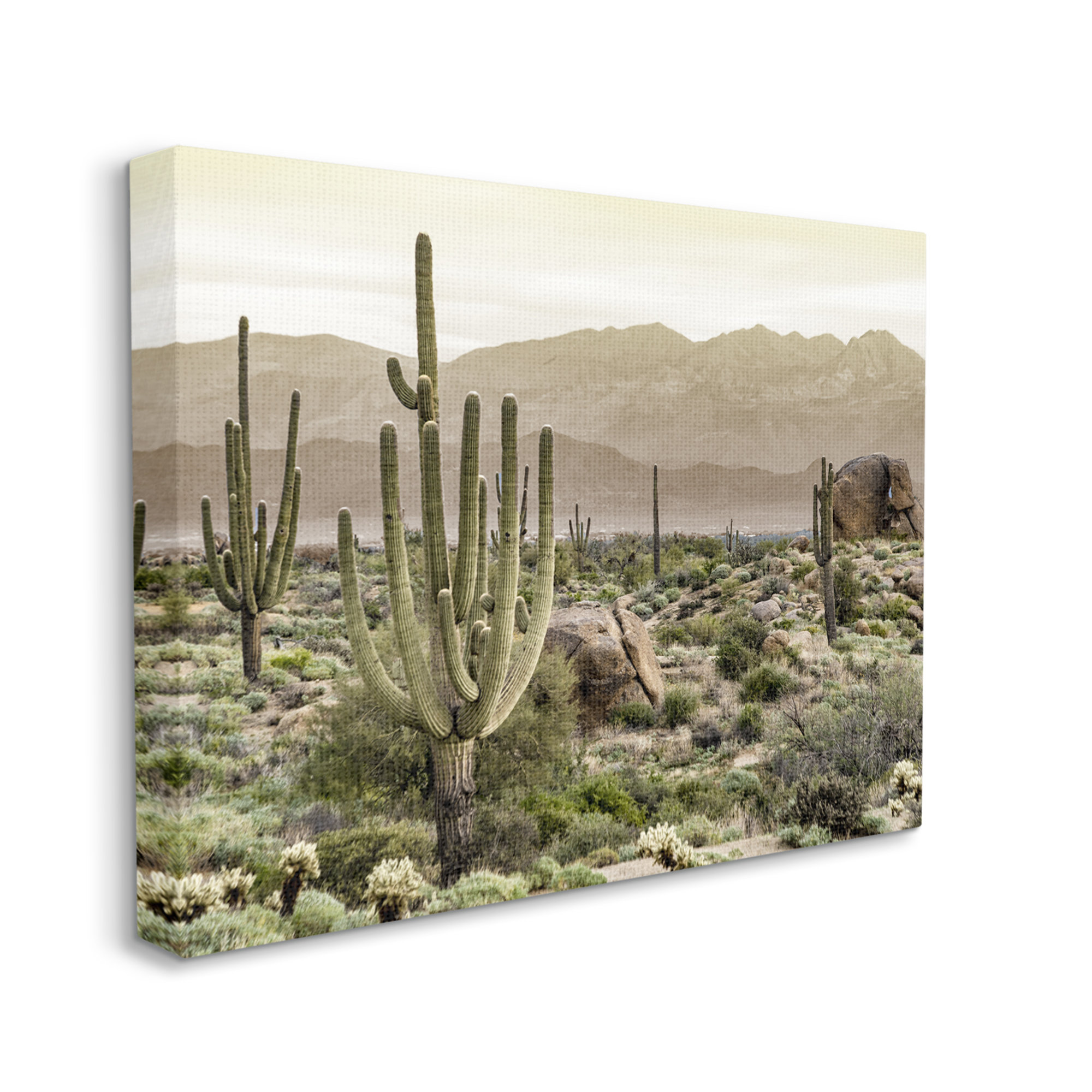 Union Rustic Rocky Desert Landscape On Canvas by Kim Allen Print | Wayfair