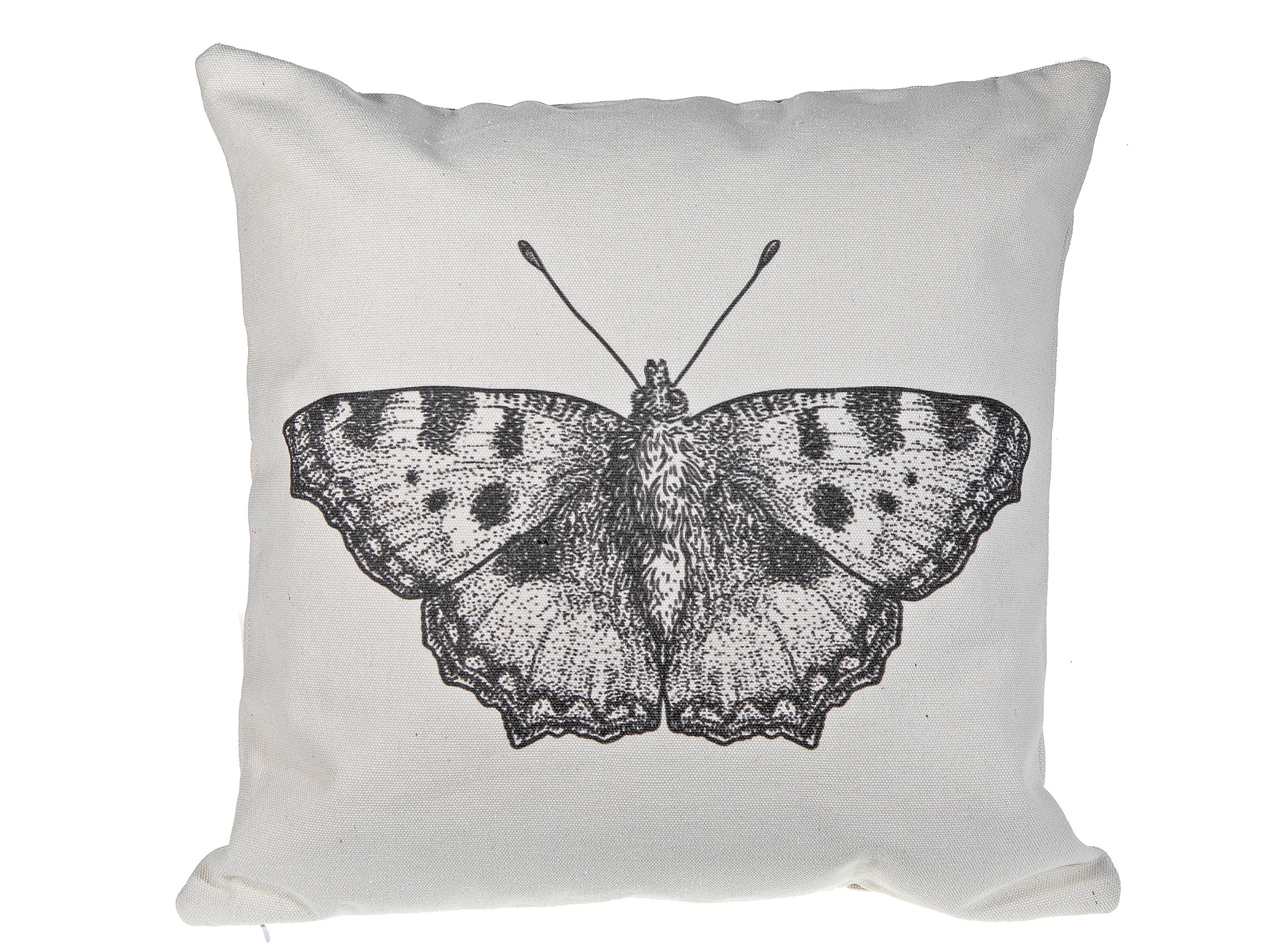 iH casadécor Square Cotton Pillow Cover & Insert | Wayfair