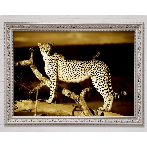 Bright Star Leopard Perch Sepia - Single Picture Frame Print | Wayfair ...