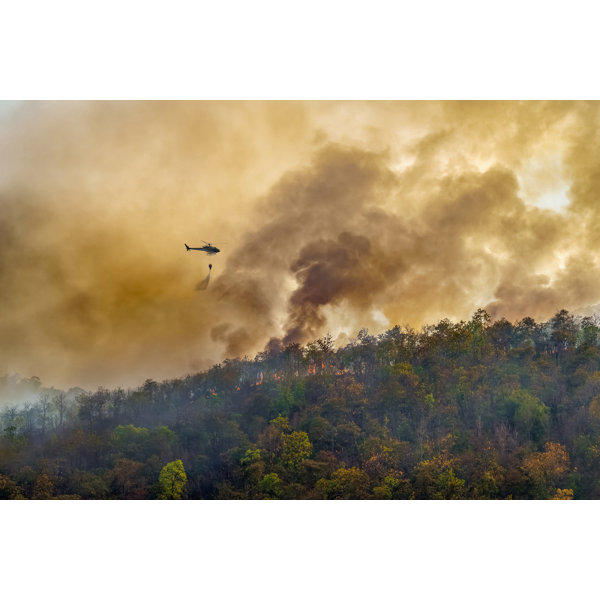 Loon Peak® Firefighting Forest Fire On Canvas by Toa55 Print | Wayfair