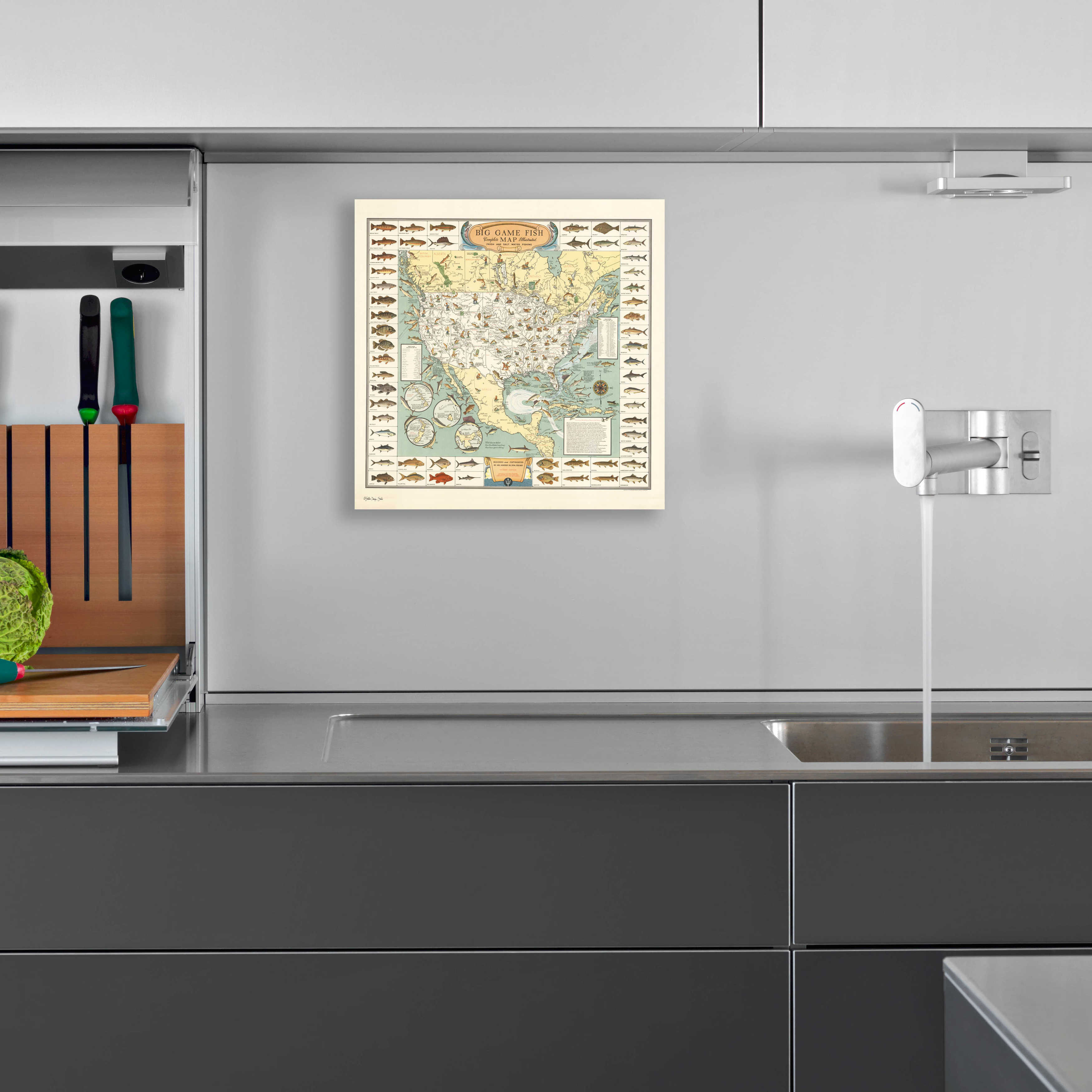 Breakwater Bay 'Big Game Fish Map' by Stellar Design Studio, Acrylic ...