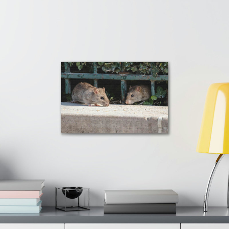 Ebern Designs Rat Couple Rat Couple Print Animal Wall Art | Wayfair