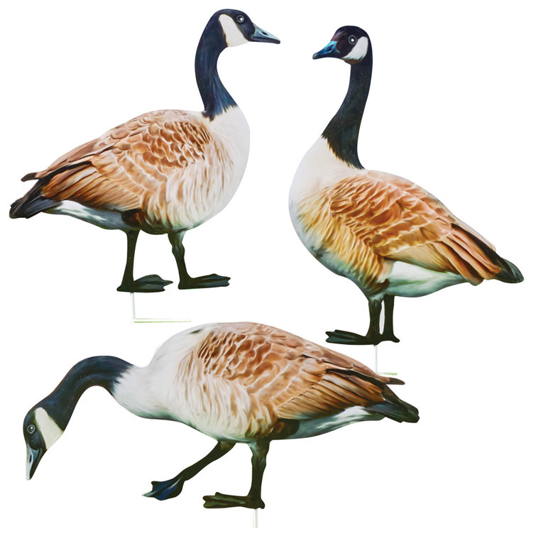 Arlmont & Co. 3 Piece Realistic Geese Metal Garden Stake Set & Reviews ...