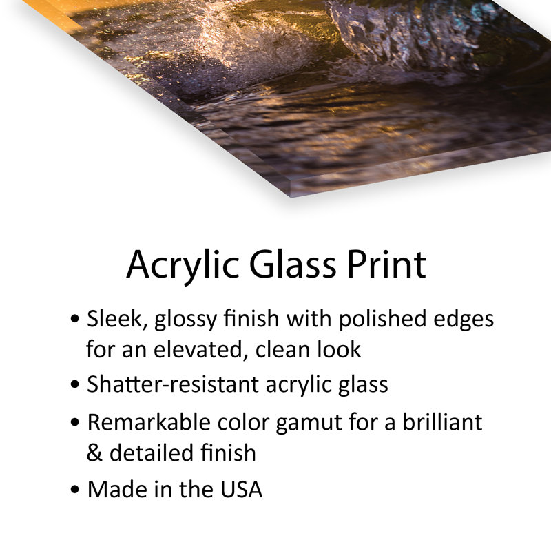 Highland Dunes Color Splash On Plastic/Acrylic by Lucas Moore Painting ...