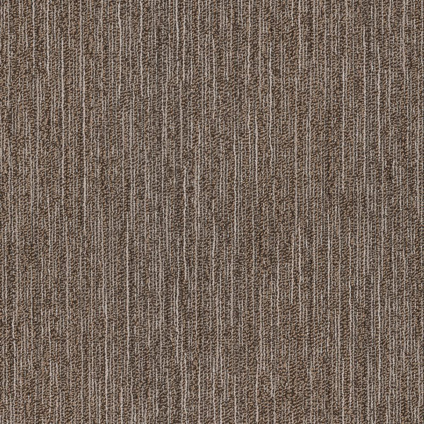 Shaw Floors Explorer 24-in x 24-in Multi-Level Loop Adhesive Carpet ...