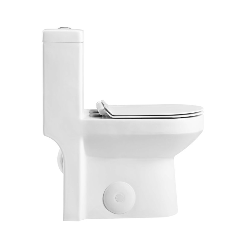 Fine Fixtures Dual-Flush Round One-Piece Toilet (Seat Included ...