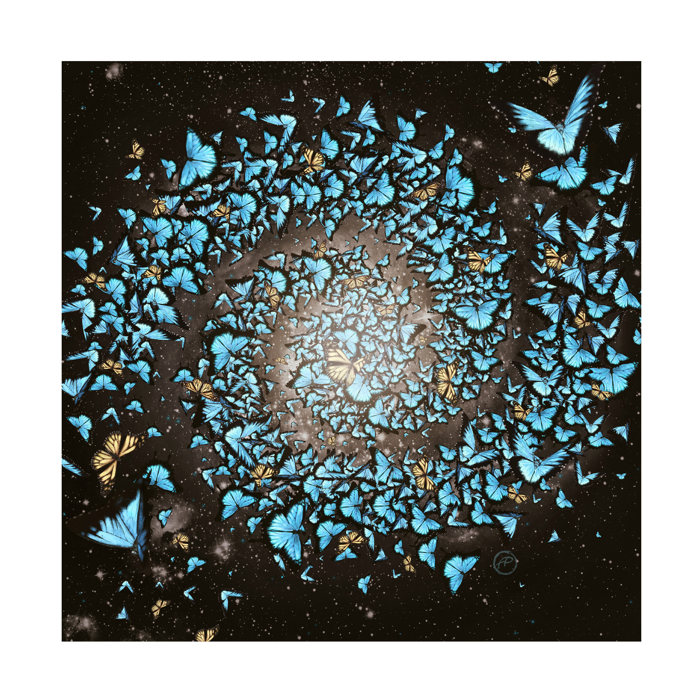 Winston Porter Butterfly Galaxy by Paula Belle Flores - Unframed Print ...