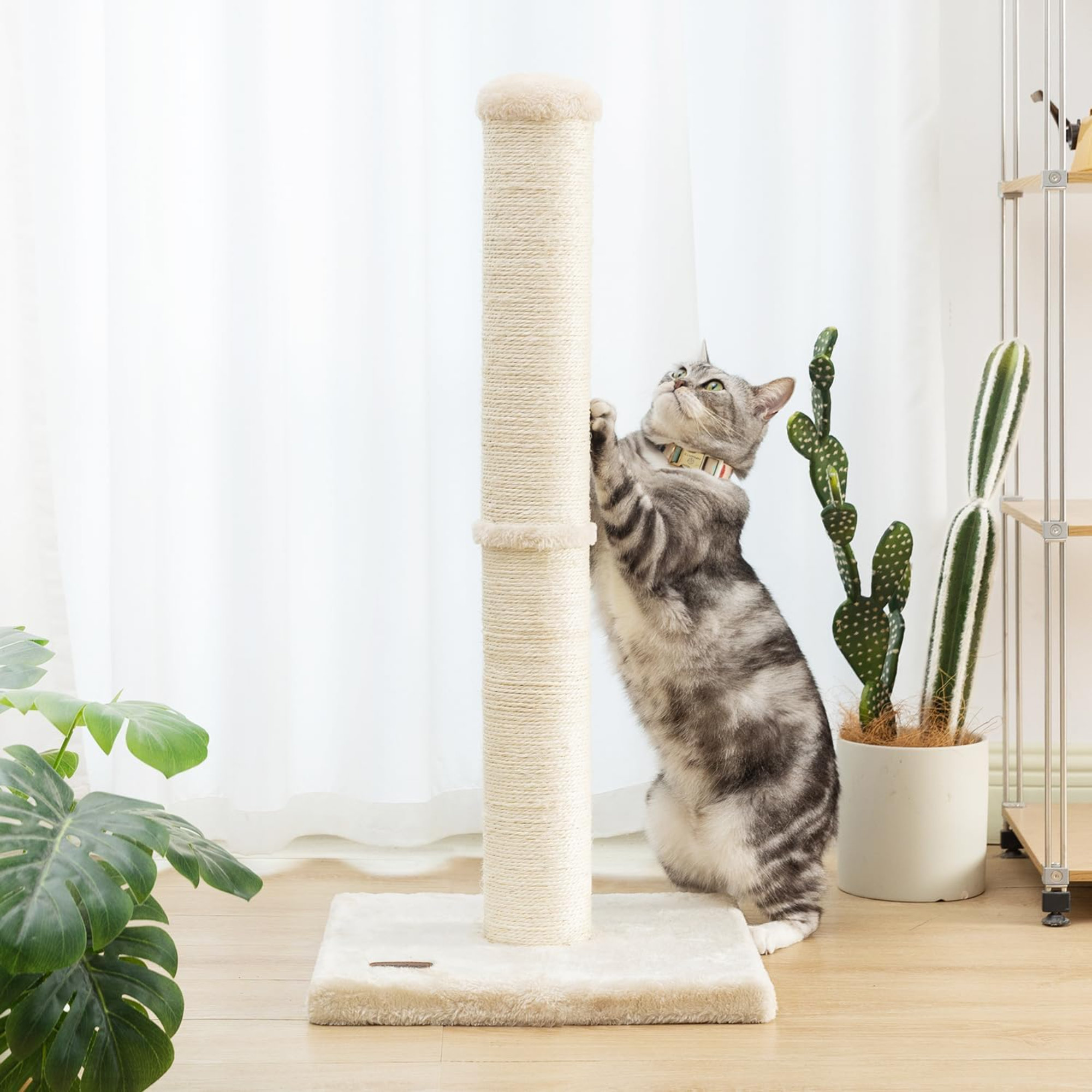 Tucker Murphy Pet™ 34Inch Cat Scratching Post With Natural Sisal Rope 4 ...