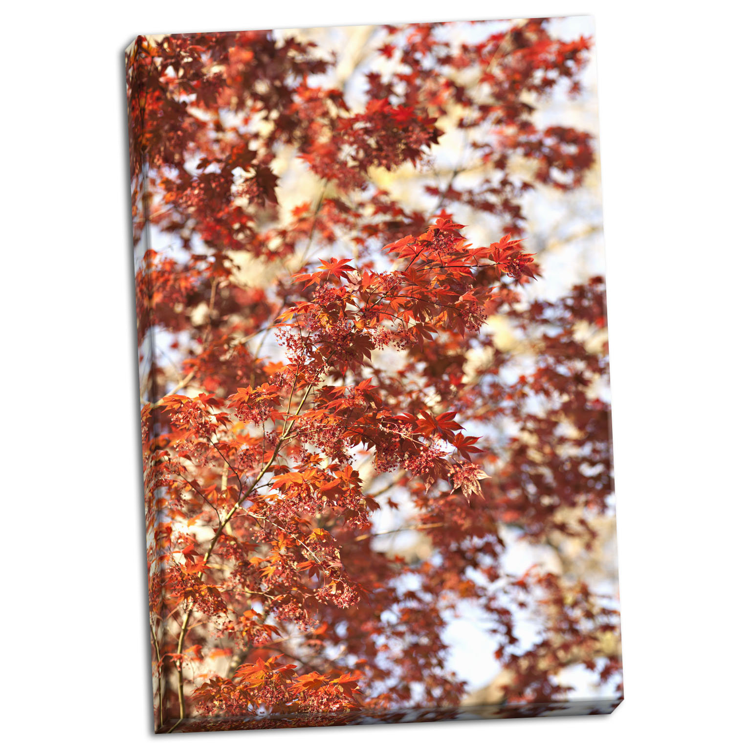Millwood Pines 'Fall Leaves' Photographic Print on Wrapped Canvas | Wayfair