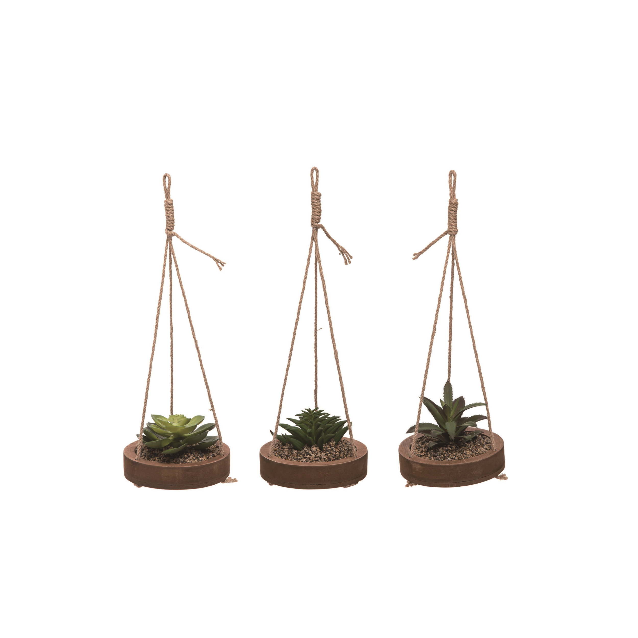 Primrue Wood Hanging Succulent Set of 3 Spring Home Decorations | Wayfair