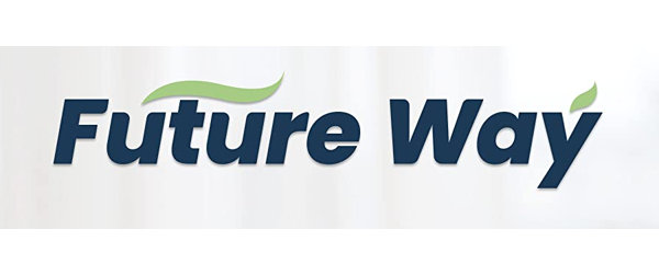 Future Way | Wayfair