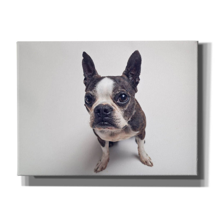 Latitude Run®® 'Norton Moses' By Susan Sabo, Canvas Wall Art - Wayfair ...