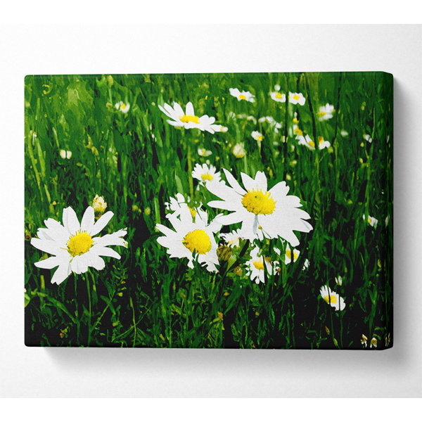 Brambly Cottage White Daisy Field Amongst The Grass - Wrapped Canvas ...