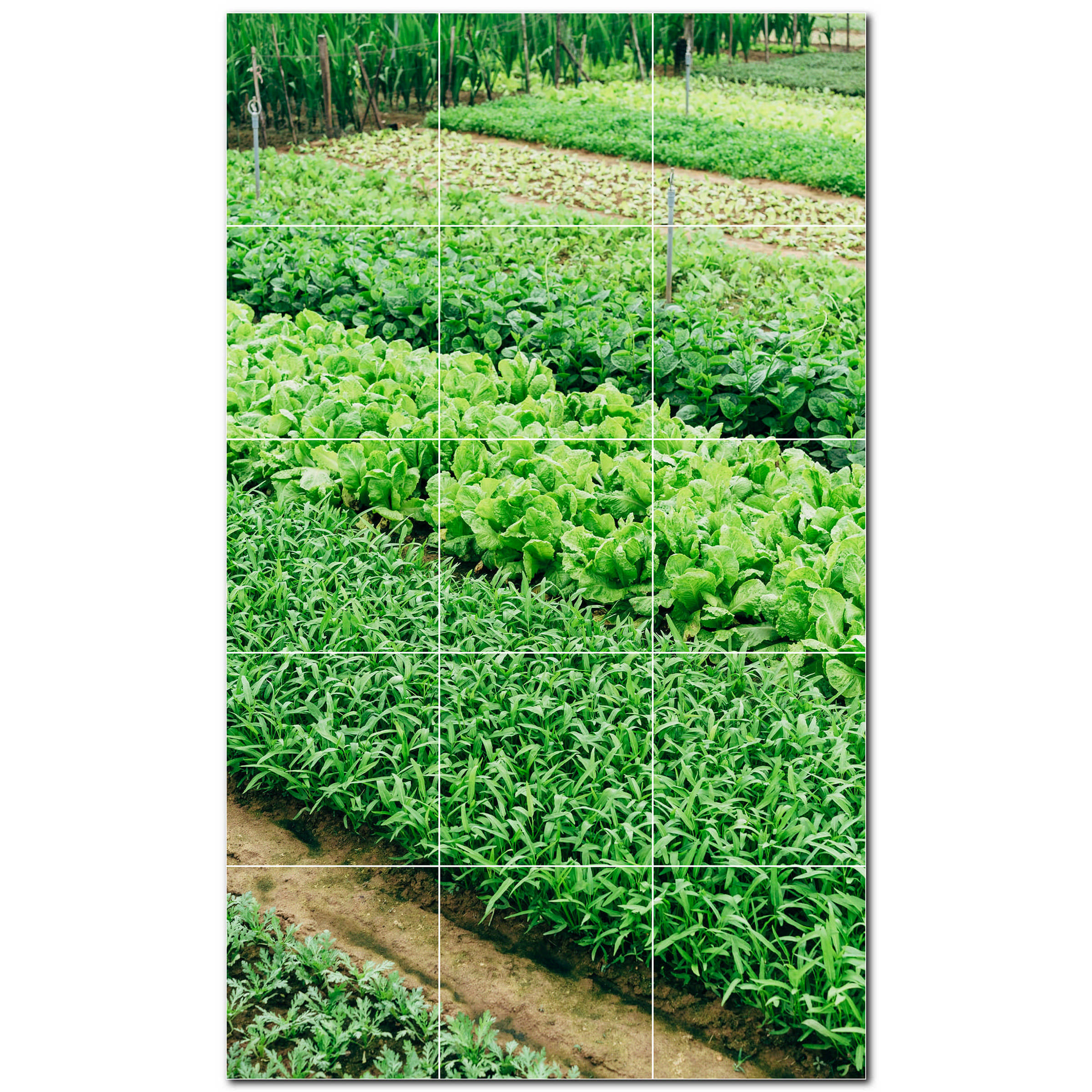 Picture-Tiles.com 36" x 60" Ceramic Farm Photo Decorative Mural Tile ...