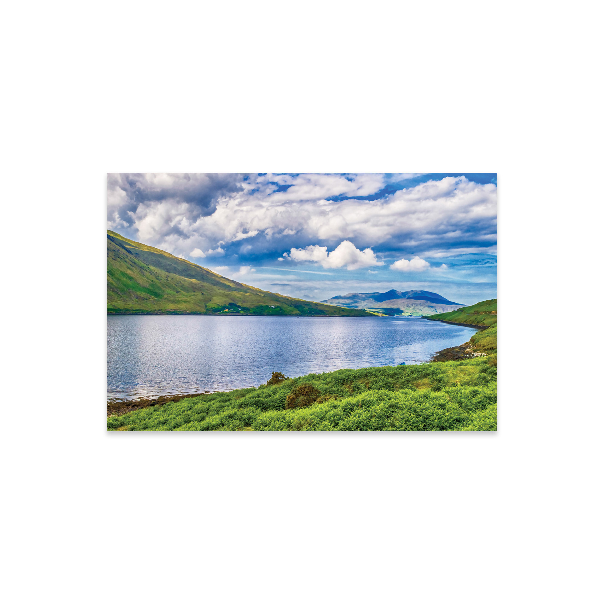 Millwood Pines Annine Connemara, County Galway, Ireland On Plastic ...