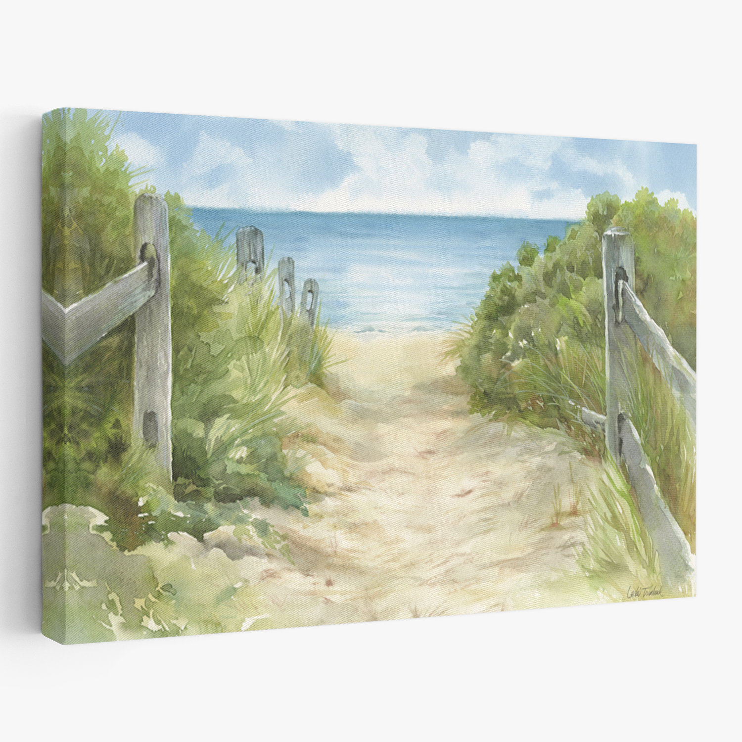 Rosecliff Heights Coastal And Beachy Cap Cod Path | Wayfair