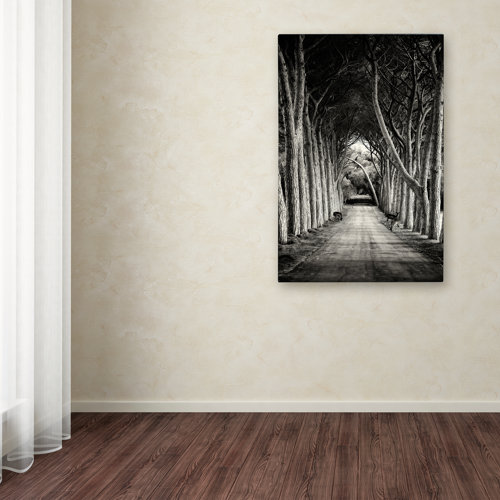 Trademark Art Path On Canvas by Sandra Print | Wayfair