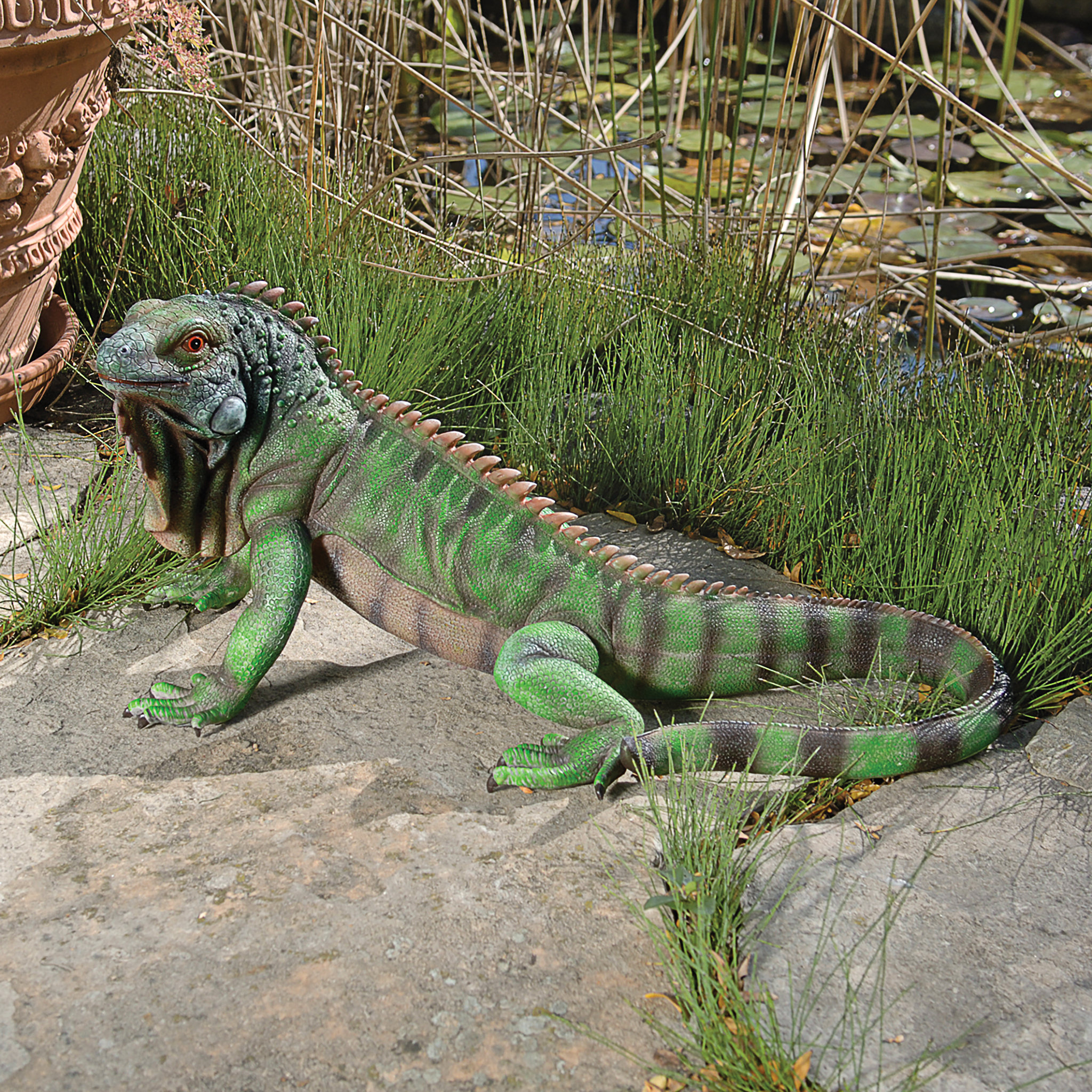 Design Toscano Iggy the Iguana Statue & Reviews - Wayfair Canada