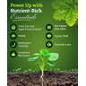 Foxfarm Bushdoctor Coco Loco Potting Mix, 12 Quart – Organic Coconut ...