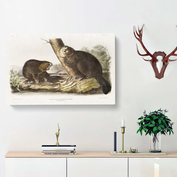 East Urban Home American Beavers - Wrapped Canvas Painting | Wayfair.co.uk