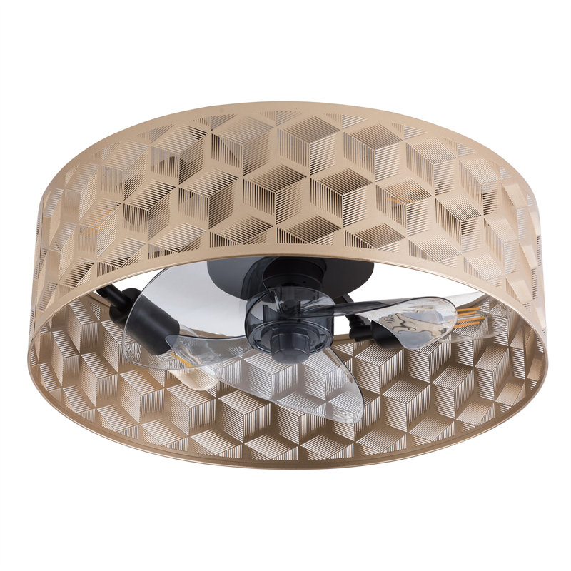 House of Hampton® Jaybin Low Profile Caged Ceiling Fan Light with ...