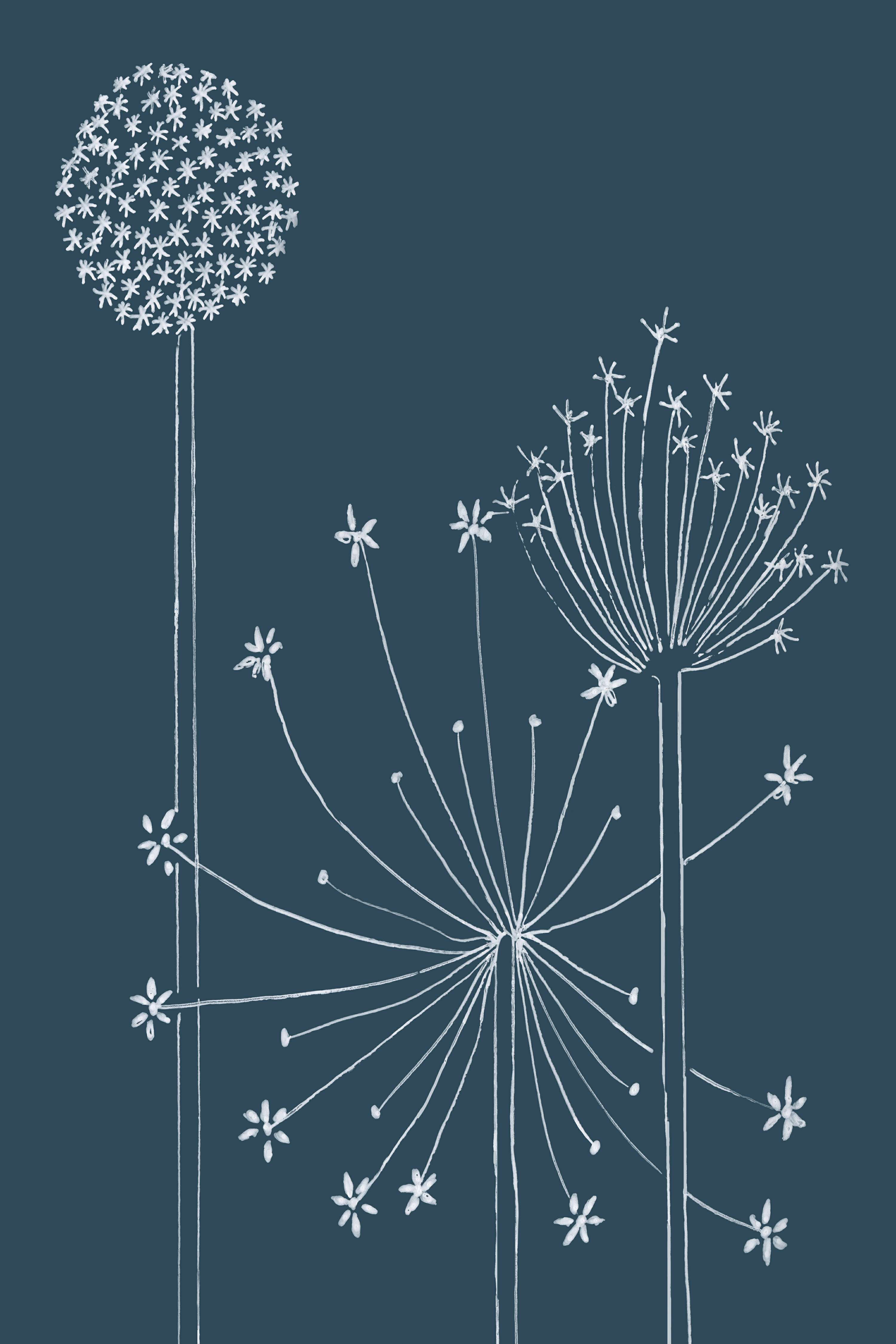 Winston Porter Graphic Alliums I by Alicia Longley - Print - Wayfair Canada