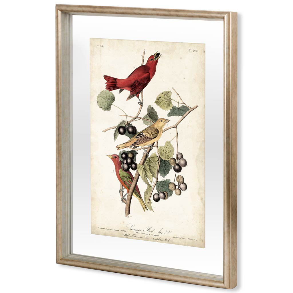Wildon Home® Summer Red Bird | Wayfair