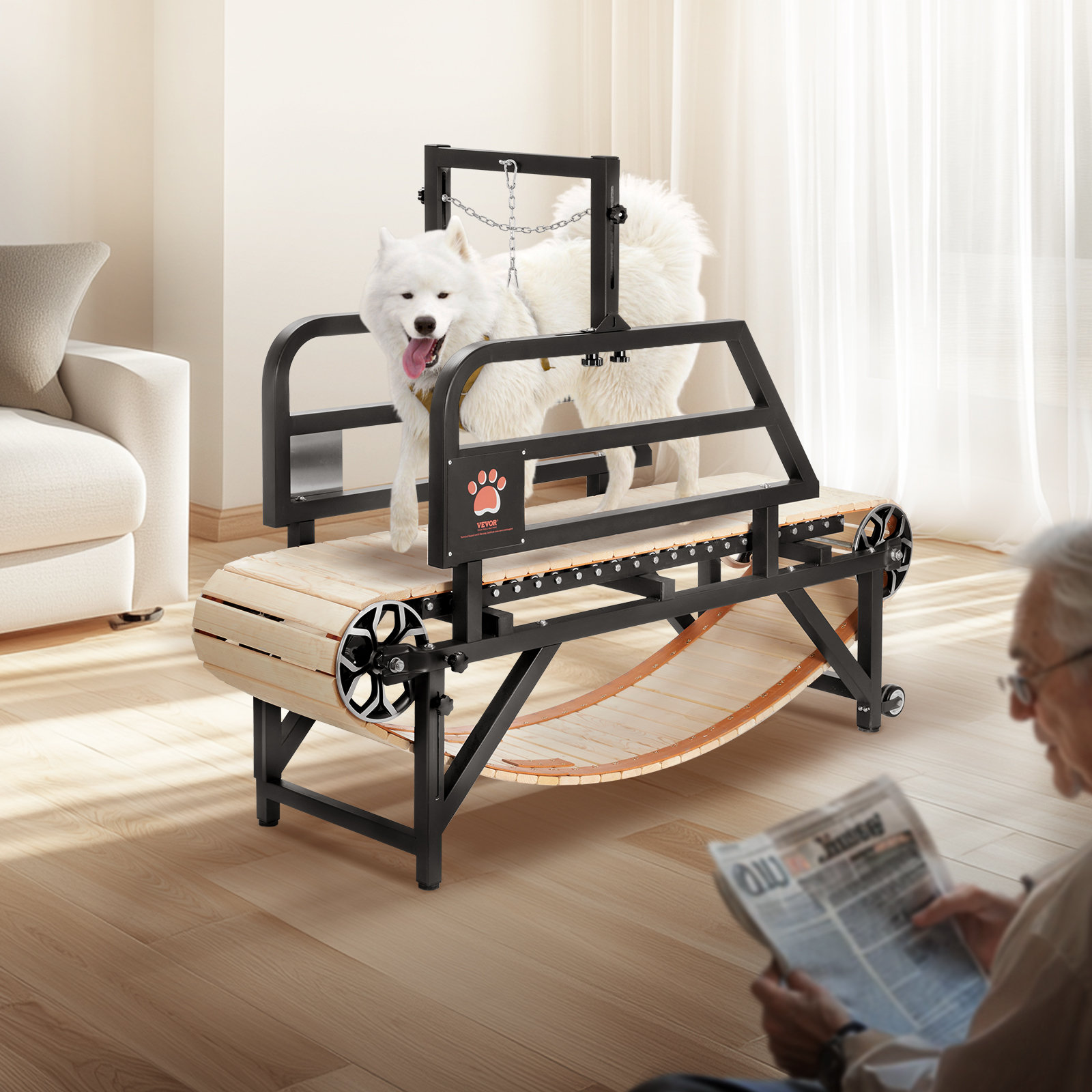 Stellweilan Tessberg Dog Treadmill for Medium Dogs up to 220 lbs Indoor ...