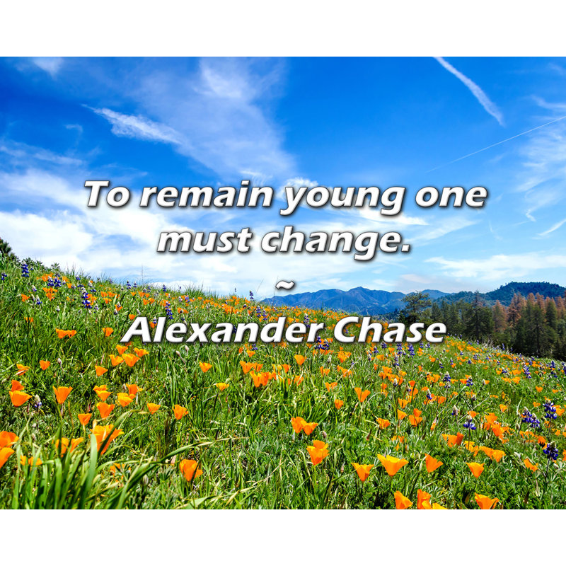 Latitude Run® Alexander Chase Quote: To remain young one must change ...