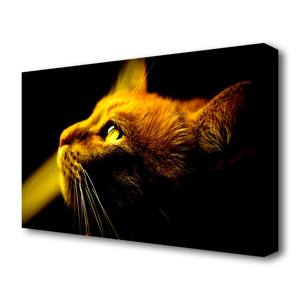 East Urban Home Red Cat Profile Wildlife - Wrapped Canvas Photograph ...