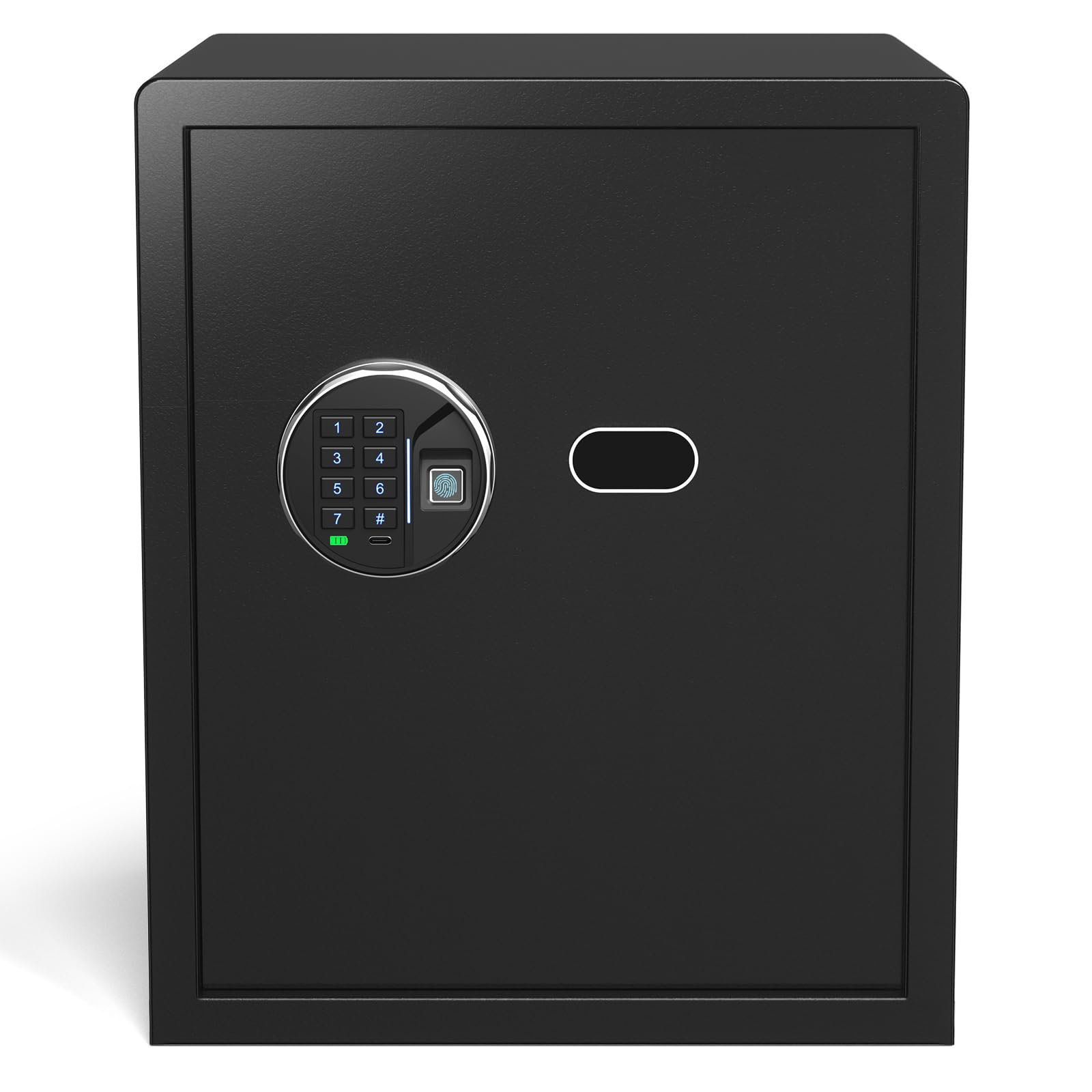 BEACHWATER POOL & SPA, LLC Gun Safe For Multiple Pistols - Biometric ...