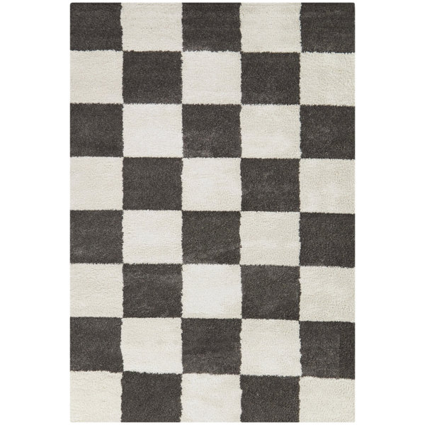 Hokku Designs Reinhart Dark Grey Checkered Area Rug & Reviews | Wayfair