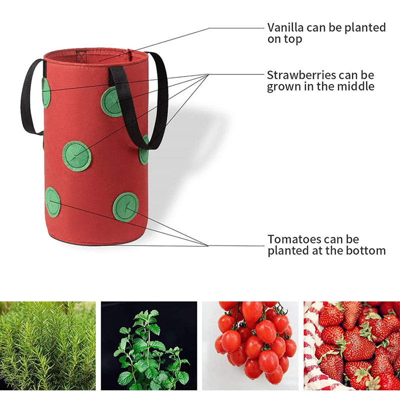 Arlmont & Co. Hanging Tomato Growing Kit & Reviews | Wayfair