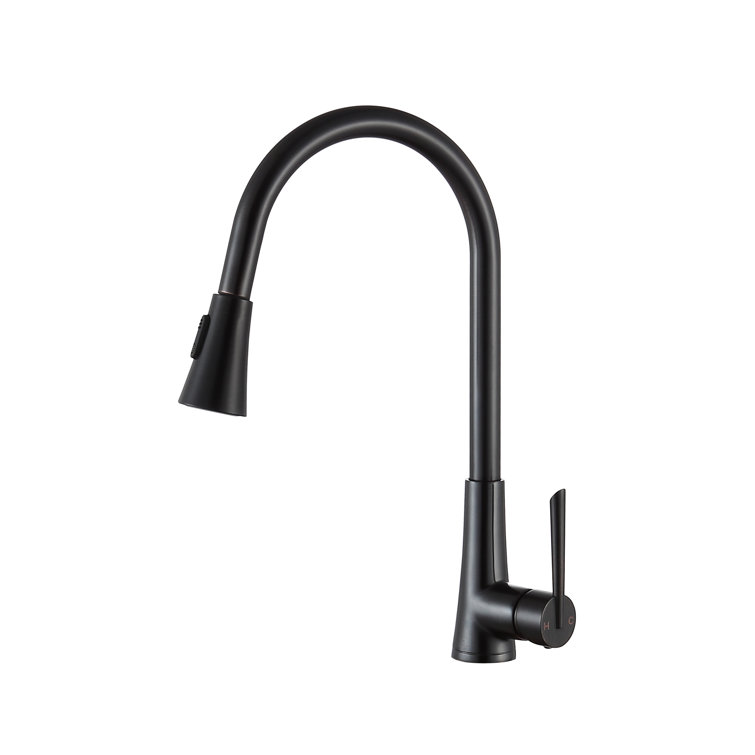 ANZZI Tulip Series Pull Out Kitchen Faucet | Wayfair