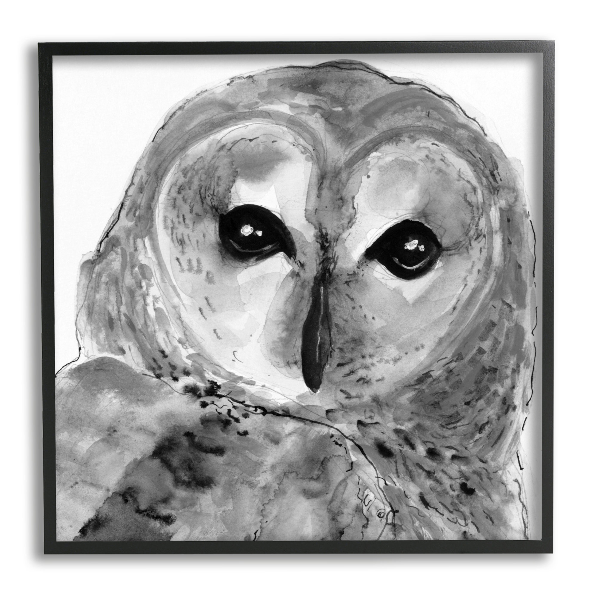 Stupell Industries Close Up Barn Owl Bird Gazing Ink Watercolor Giclee ...