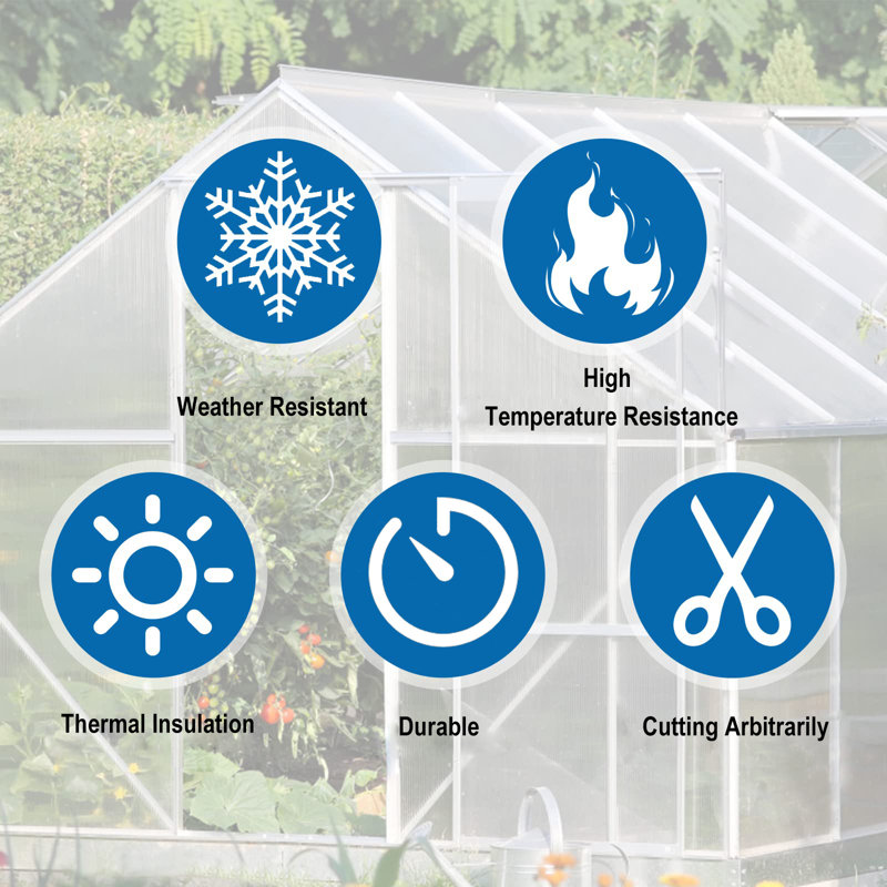 Thanaddo Twin-Walled Polycarbonate Panel Cover & Reviews | Wayfair