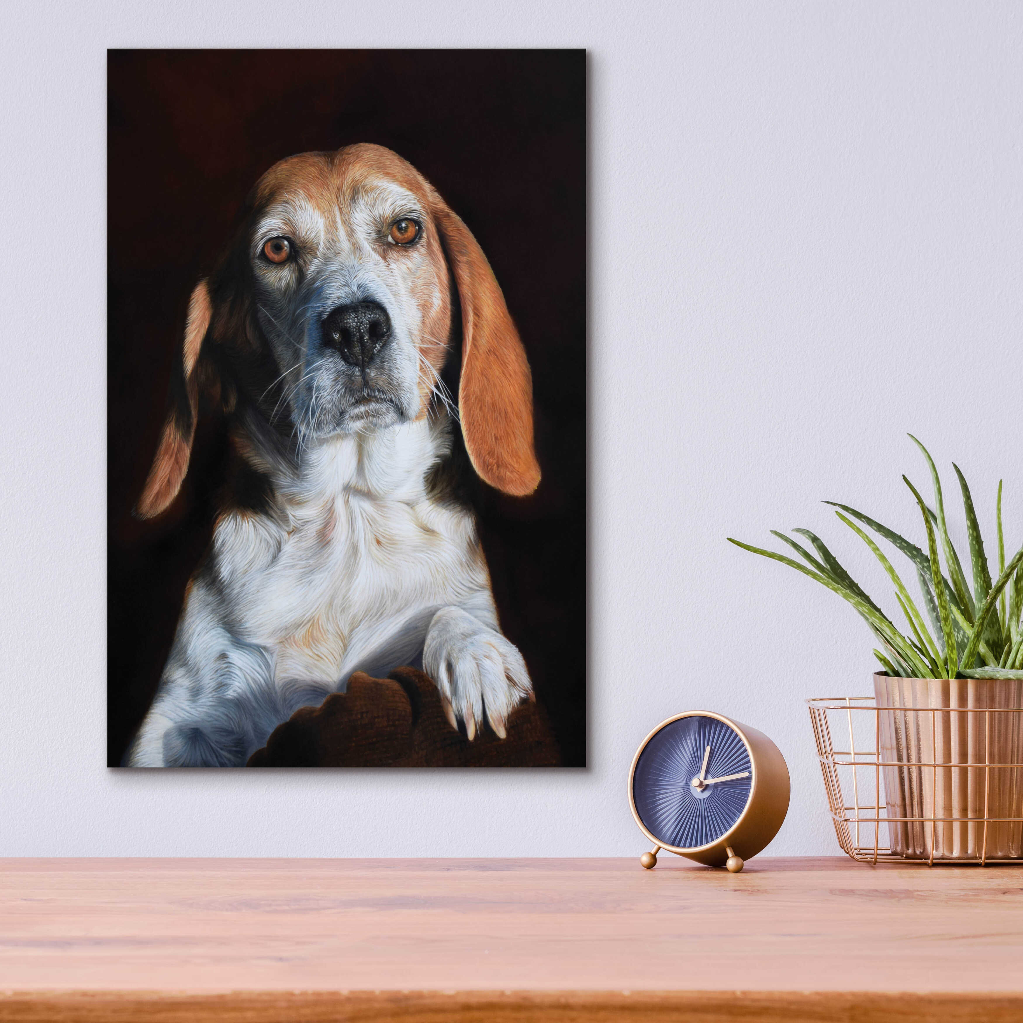 Latitude Run® ''Maggie'' By Sam Dolman, Acrylic Glass Wall Art ...
