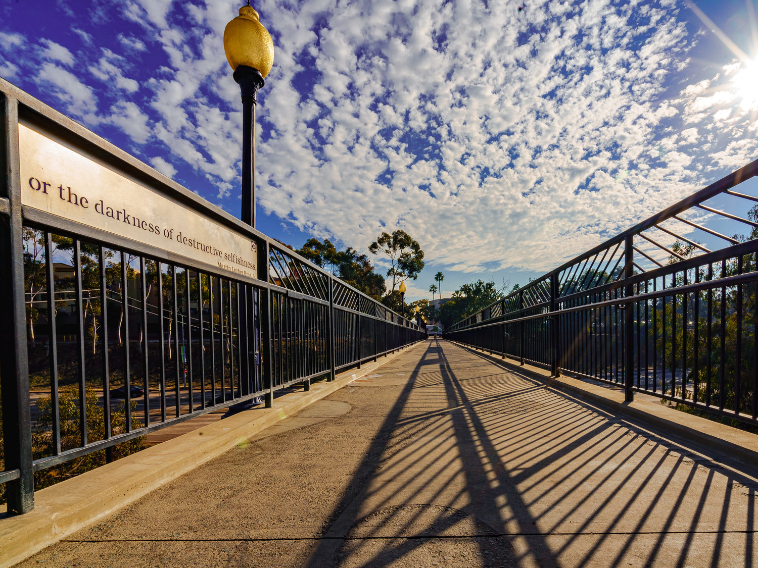 Made & Curated Martin Luther King Bridge Sunny Day San Diego ...