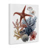 Dovecove Natural Aquatic Sea Creatures Canvas, design by Ramona Murdock ...
