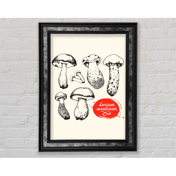 Bright Star Mushrooms - Print | Wayfair.co.uk