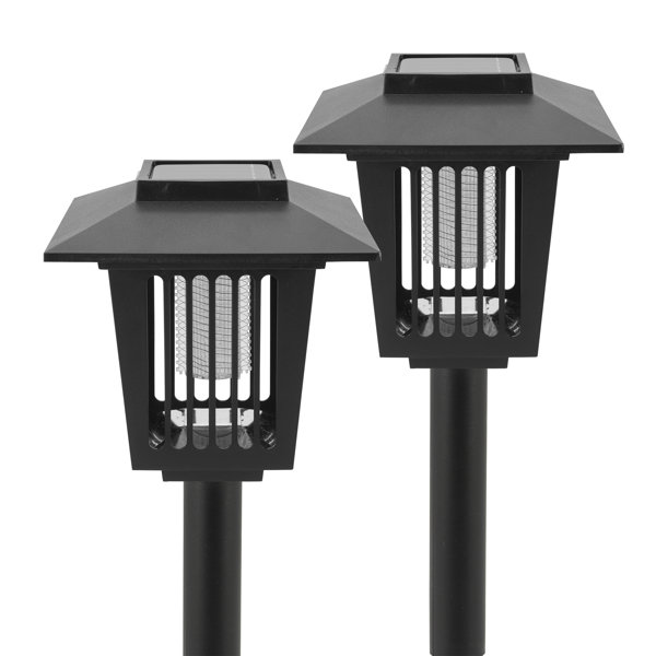 Eternal Solar Powered Integrated LED Outdoor Lantern | Wayfair
